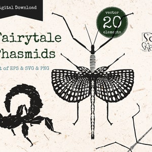 Fairytale Phasmids: Enchanting Digital Leaf Insects for Your Collection ...