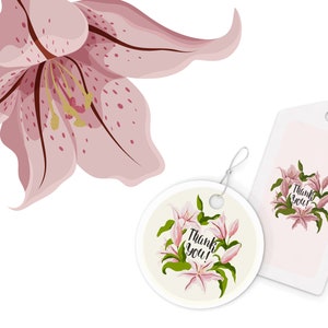 Lily Packaging Design: Small Shop Branding Logo Package Identity ...