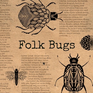 Folk Bugs - Set of High Quality PNG and Vector EPS Images | Vibrant ...
