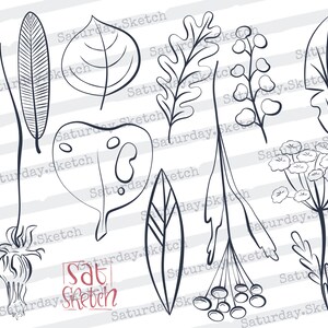 Flowers & Leaves Procreate Stamp Brushes - Etsy