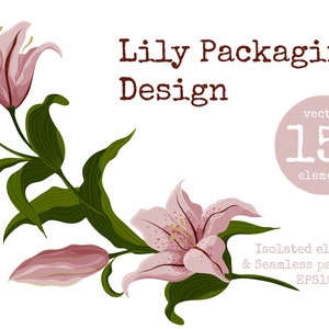 Lily Packaging Design: Small Shop Branding Logo Package Identity ...