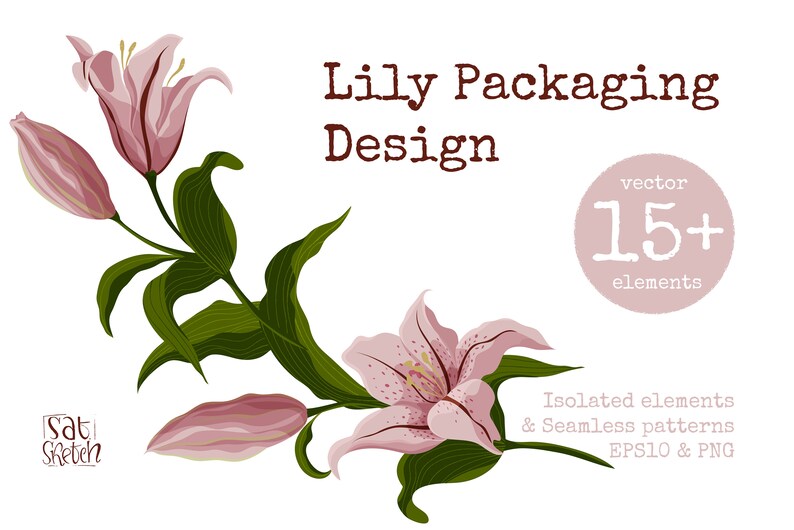 Lily Packaging Design: Small Shop Branding Logo Package Identity ...