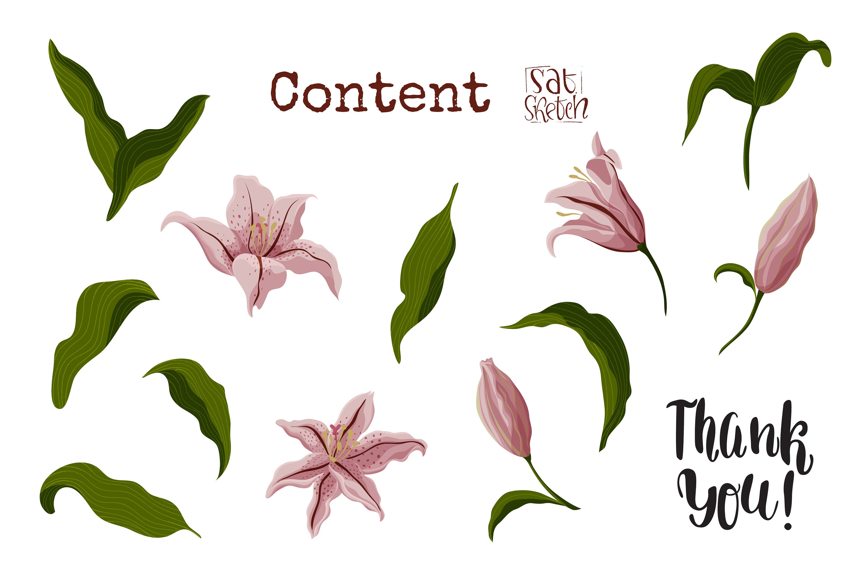 Lily Packaging Design: Small Shop Branding Logo Package Identity ...