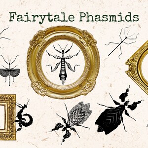 Fairytale Phasmids: Enchanting Digital Leaf Insects for Your Collection ...