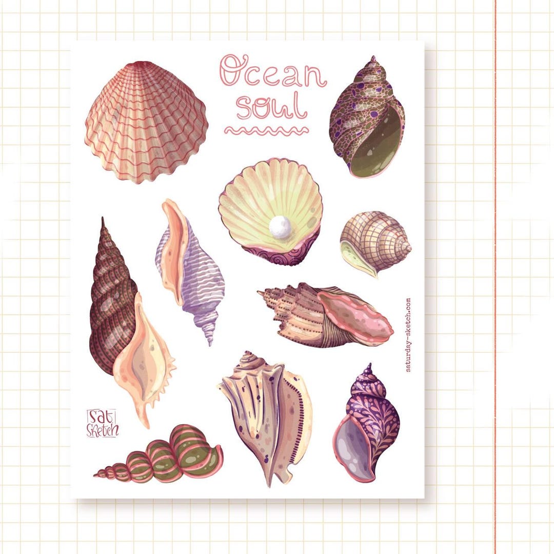 Seashell Stickers – Coastal Beach Scrapbook, Journal, Planner - Etsy