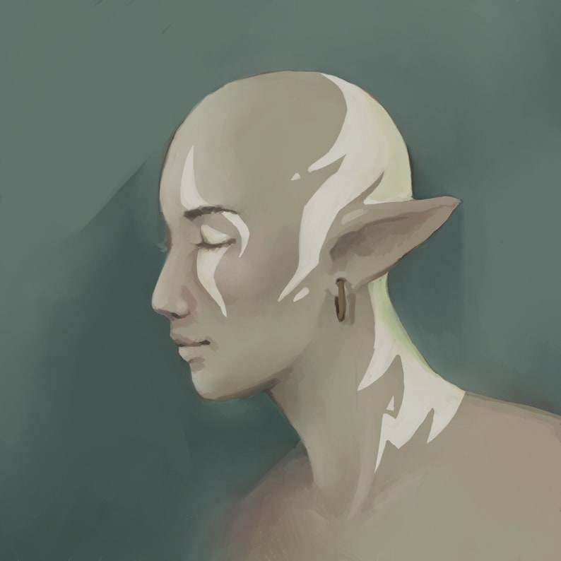 Character Art Commissions dnd - Etsy