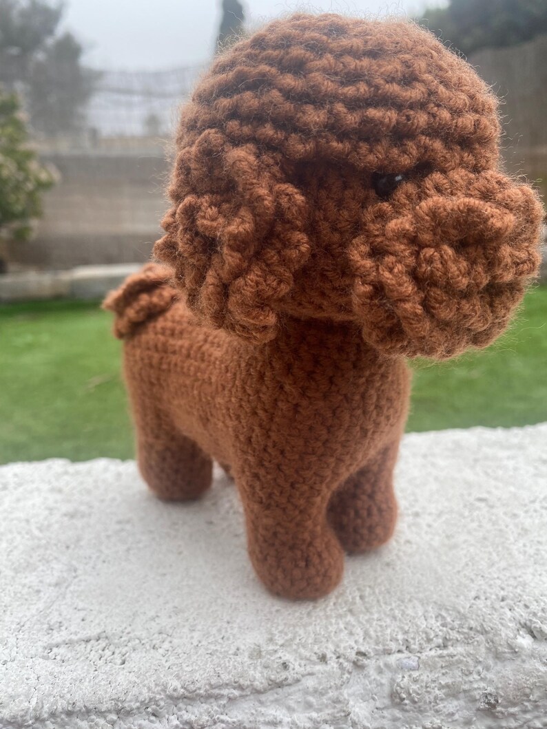 Noodle the Poodle - Etsy