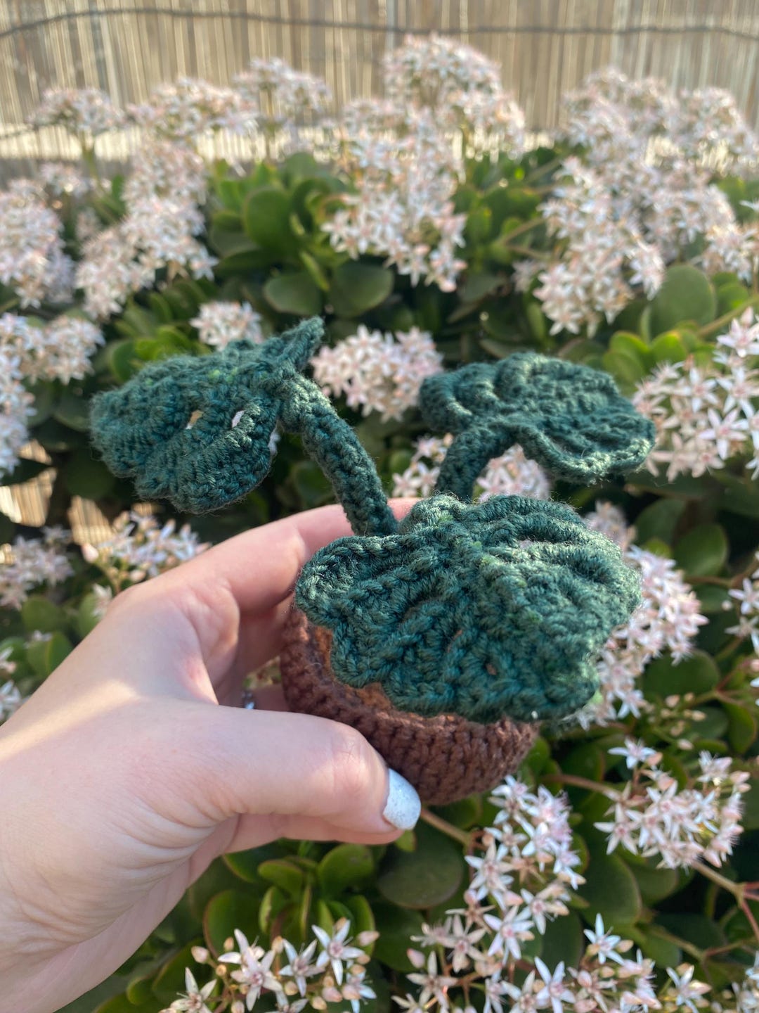 Mini Monstera Plushie - Etsy