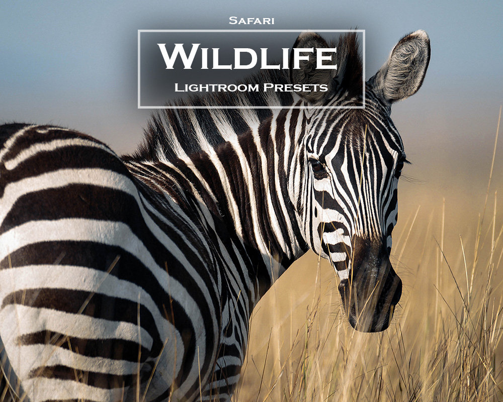 10 Safari Wildlife Lightroom Presets Pack | Mobile and Desktop ...