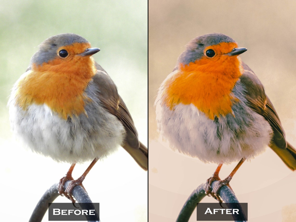 10 Bird Wildlife Lightroom Presets Pack Mobile and Desktop Lightroom ...