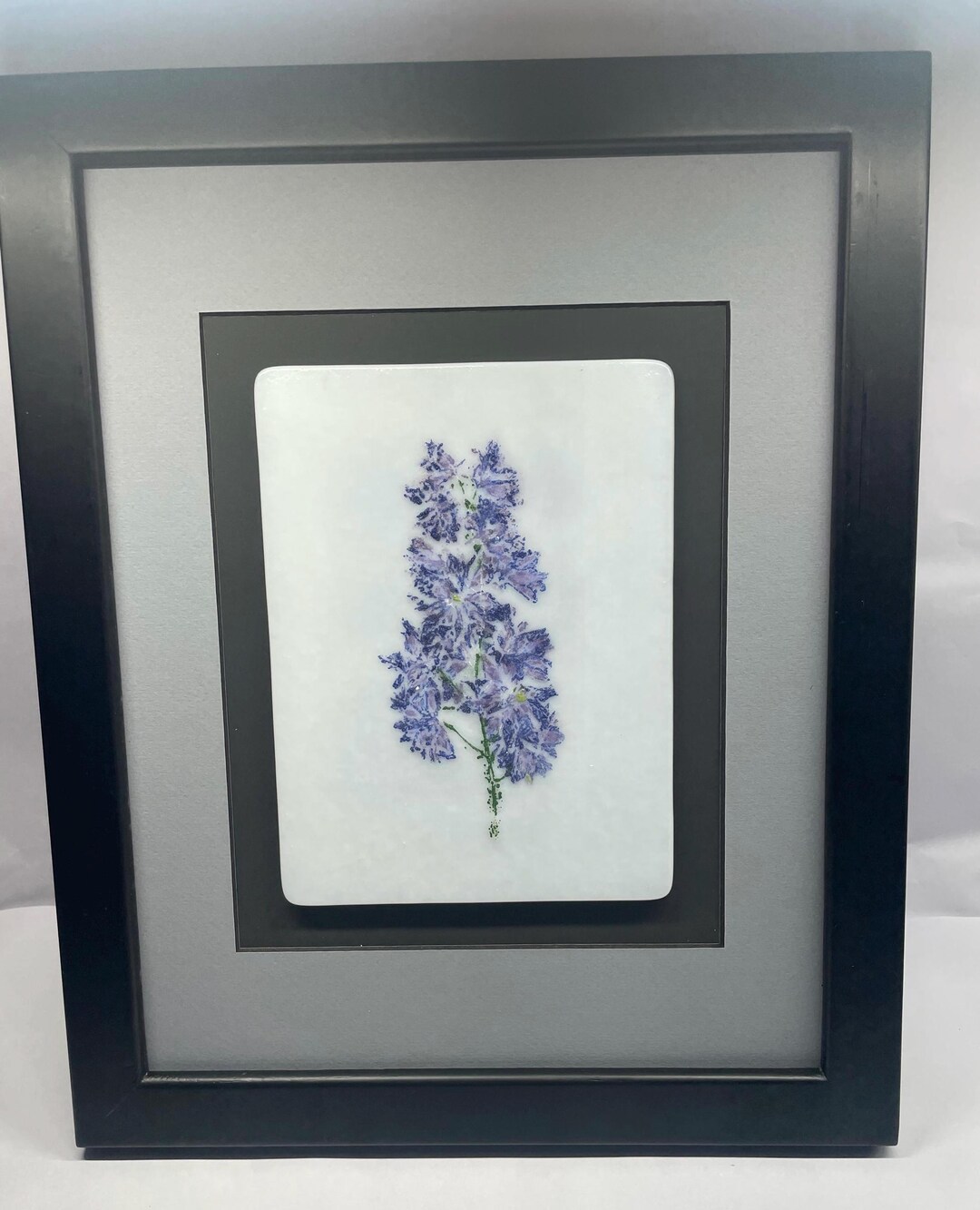Fossil Vitra - Plants Transformed to Glass. Delphinium Flower Featuring ...