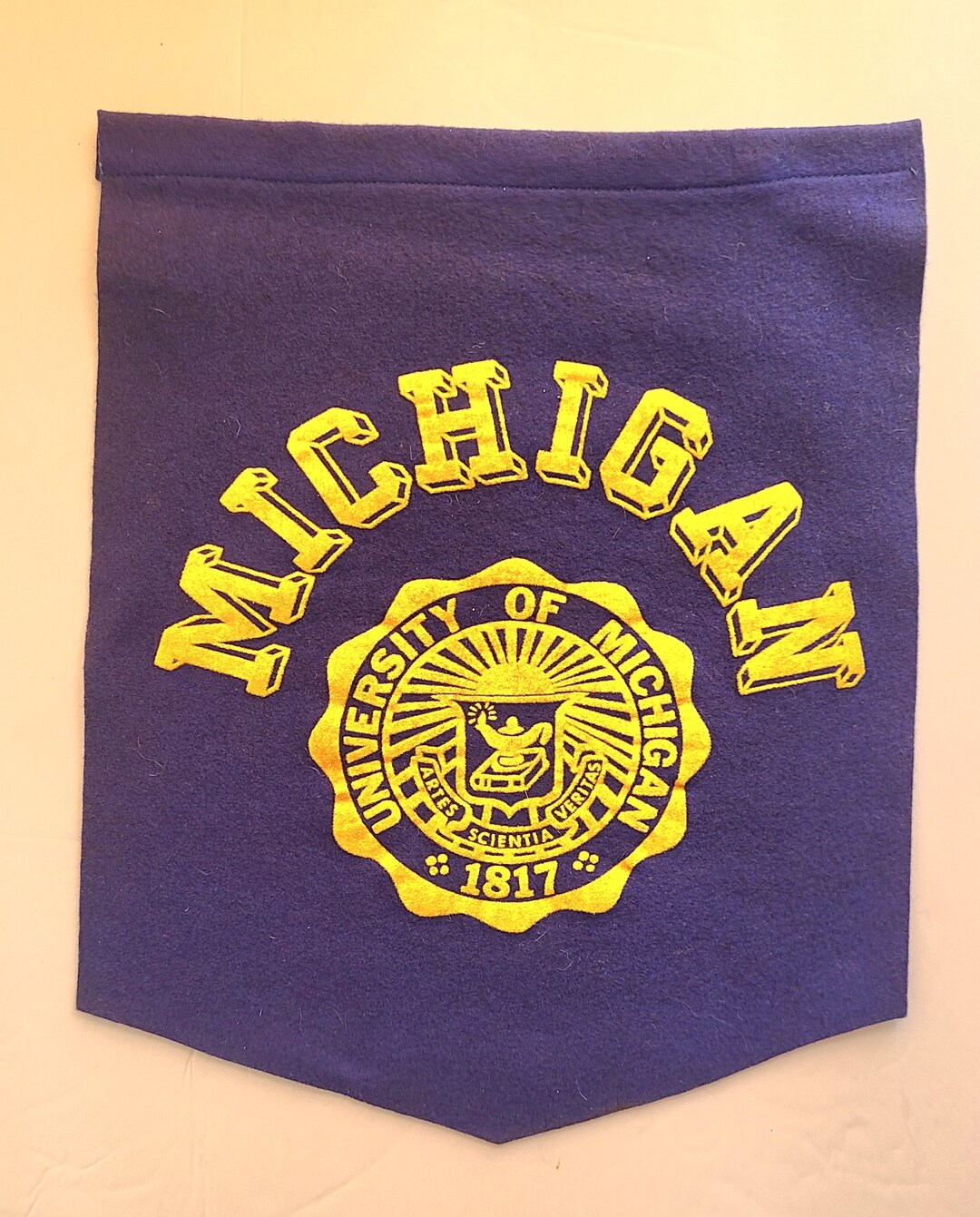 Rare Vintage Michigan State University Wool Felt College Pendant Banner ...