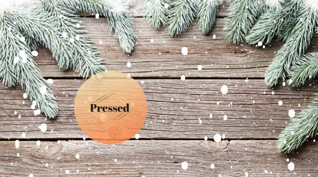 Zoom Virtual Video Background Winter Snow Download - Etsy