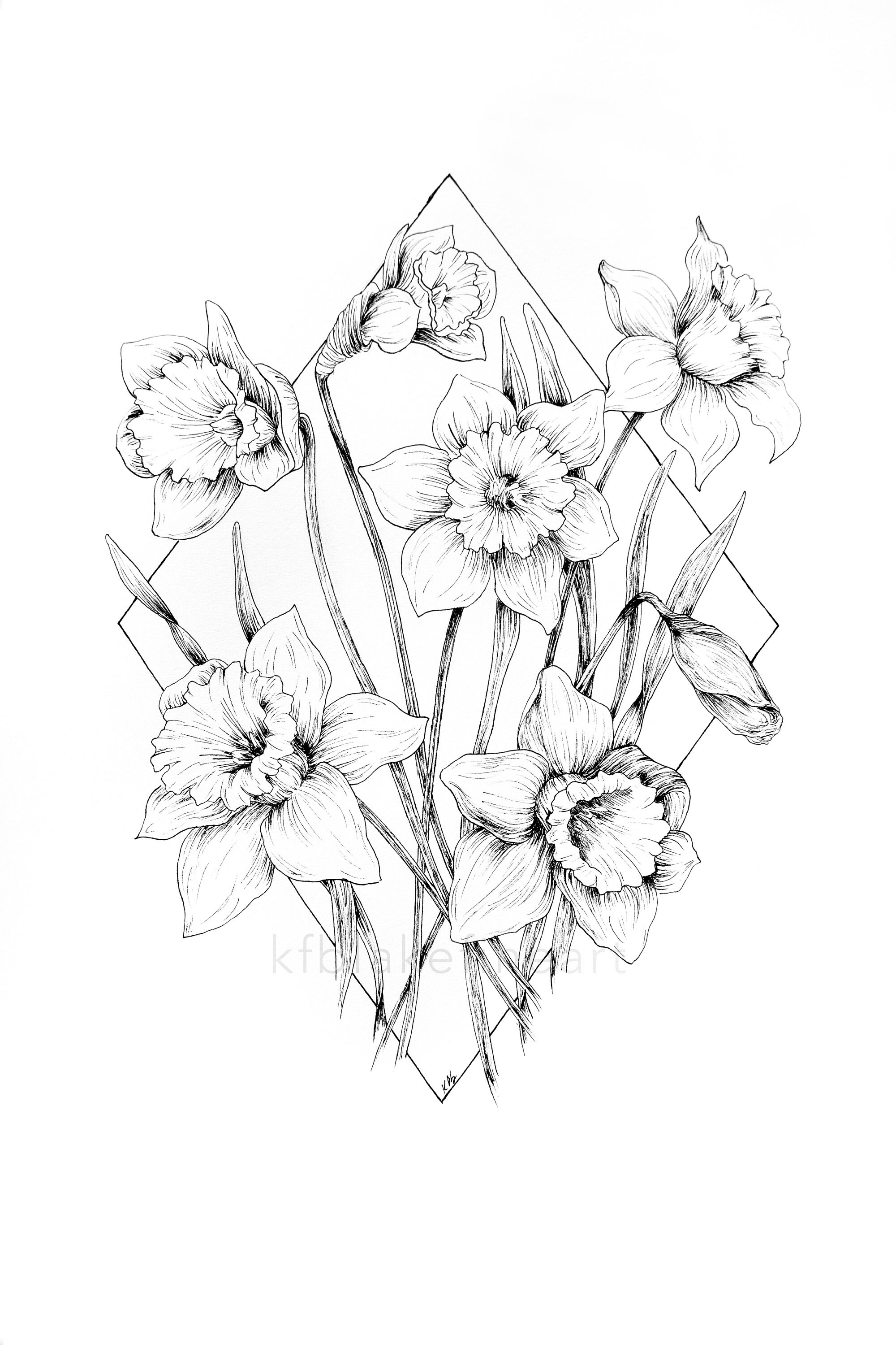Botanical Sketch | Printable Digital Download | Daffodil March Flower ...