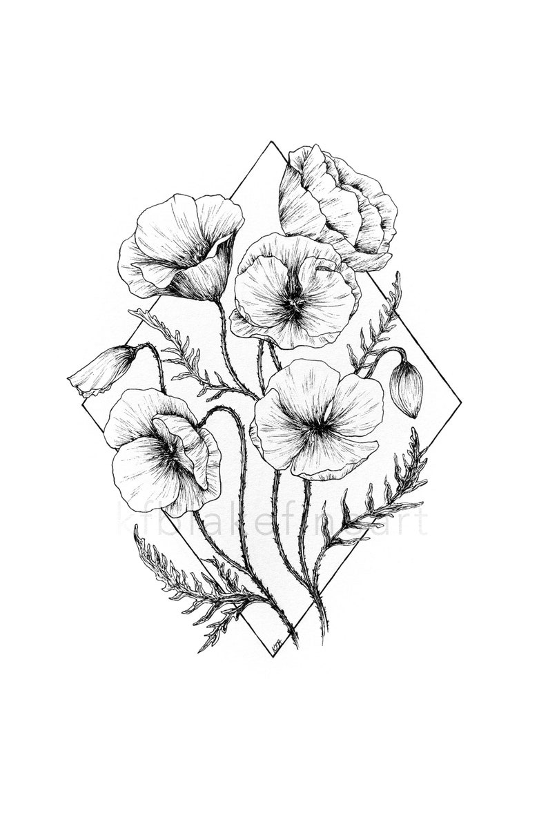 Botanical Sketch | Printable Digital Download | Poppy August Flower ...