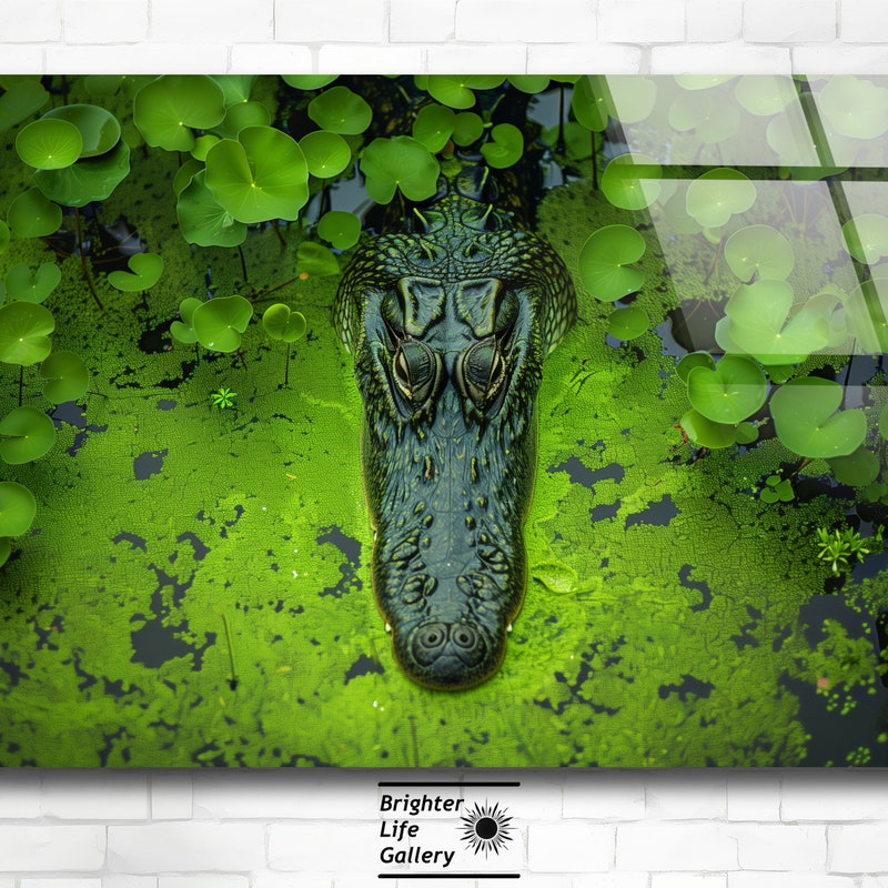 Alligator Wall Decor - Etsy