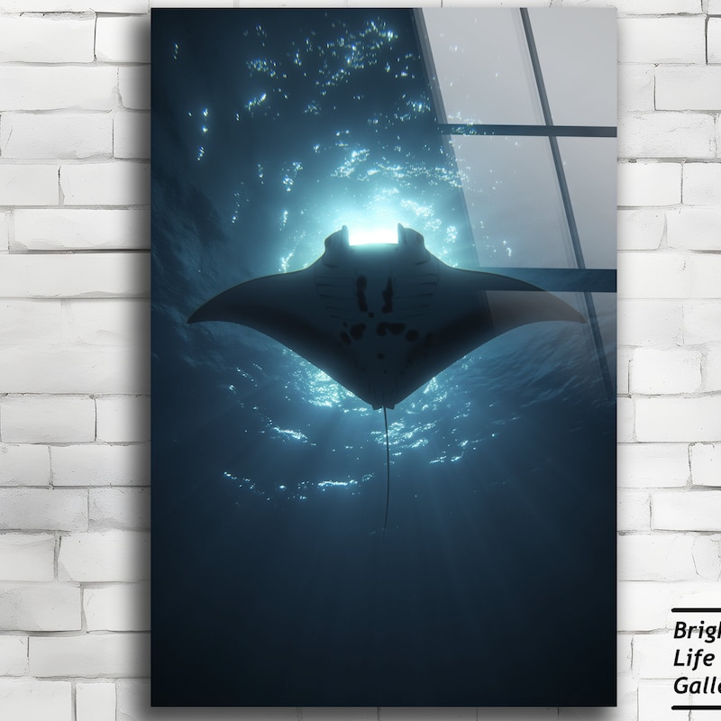 Stained Glass Manta Ray - Etsy