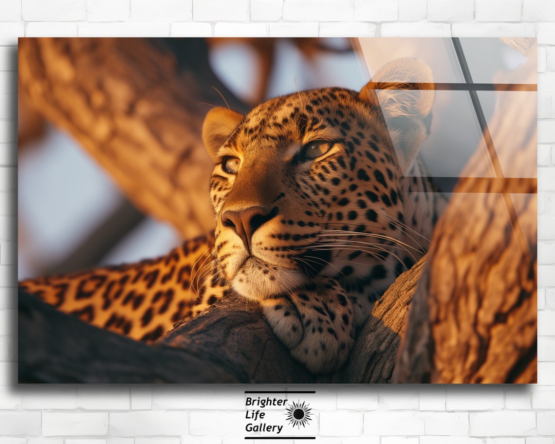 Leopard Acrylic Glass Wall Art, African Animal Photography Print - Etsy