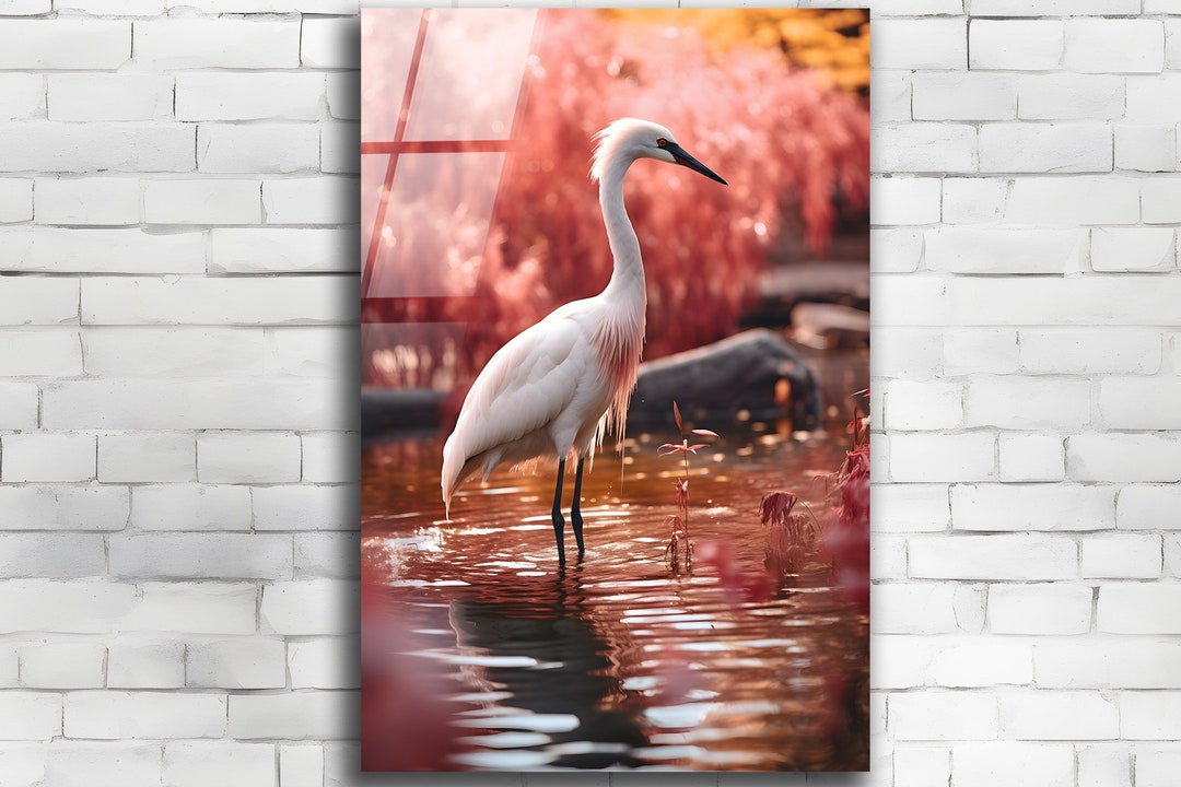 Japanese Crane Acrylic Glass Print, Elegant Bird Photography Wall Art ...