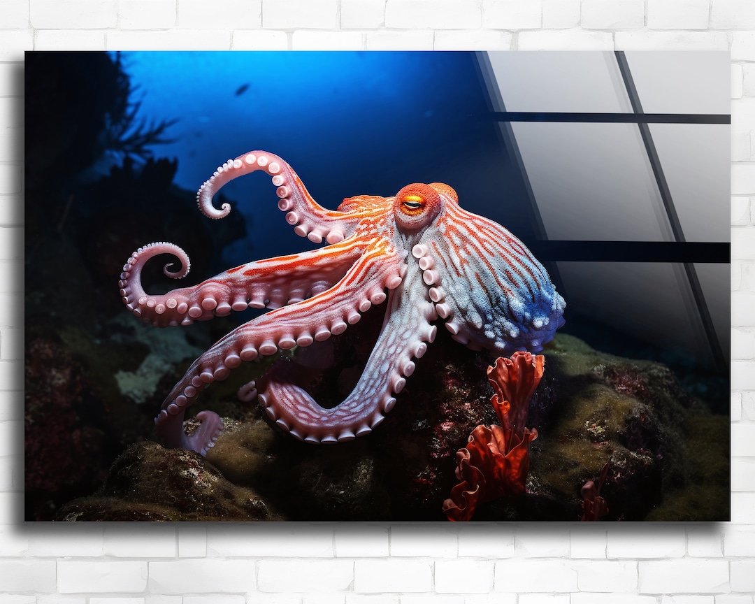 Octopus Acrylic Glass Wall Art, Coral Reef Photography, Ocean Wildlife ...