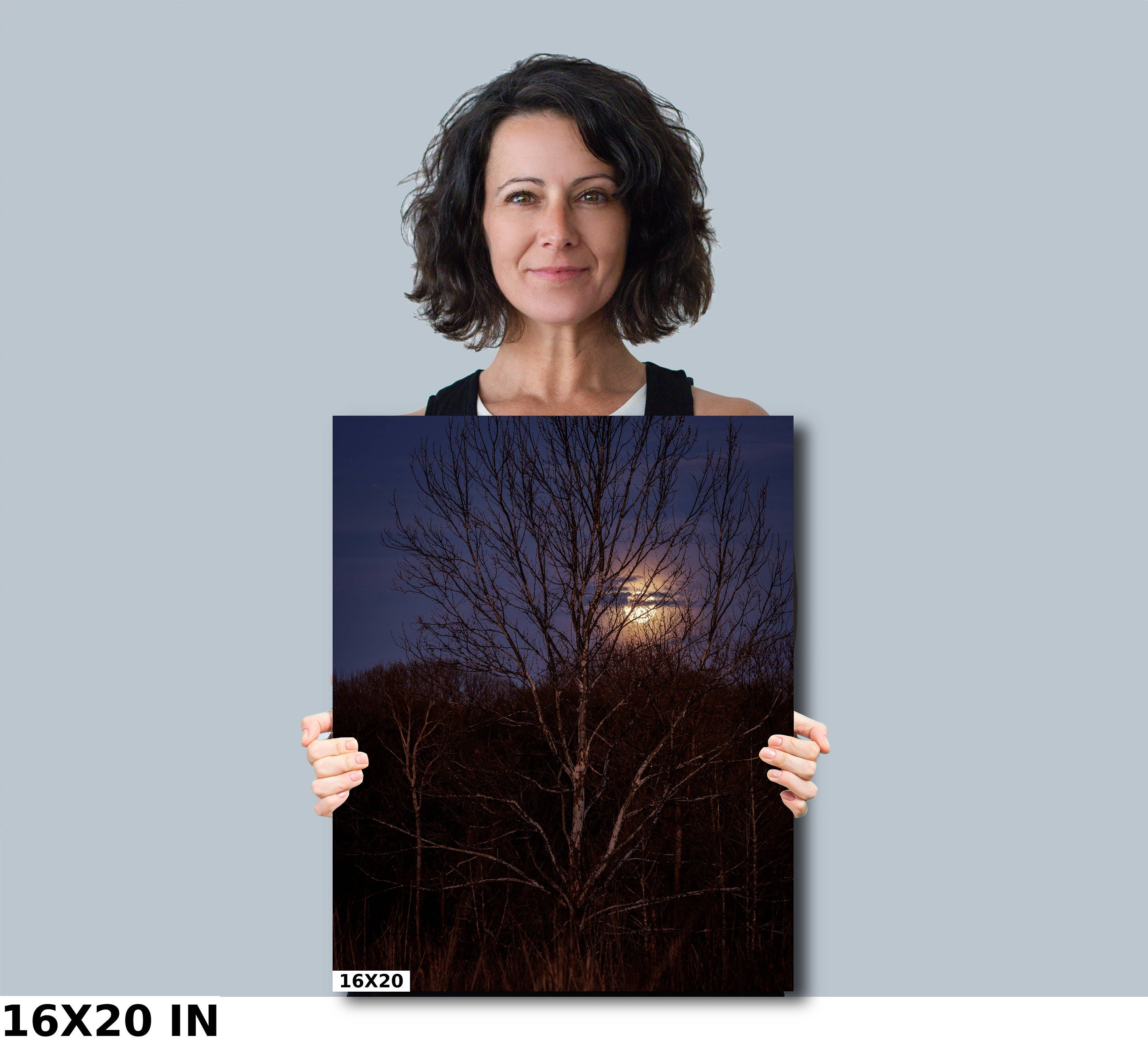Moon in Sycamore Tree at Mallard Lake Creve Coeur Missouri - Etsy