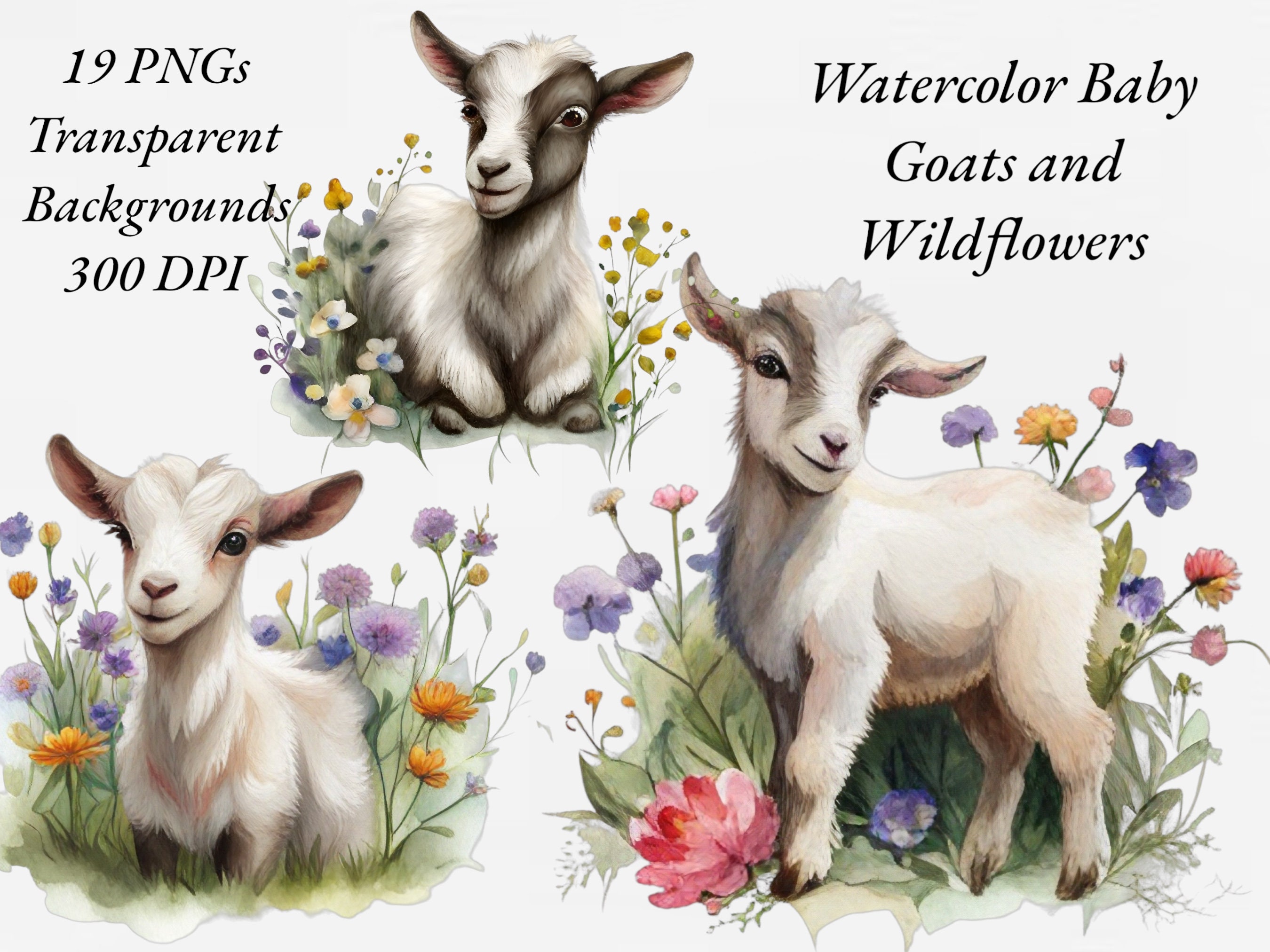 Watercolor Baby Goats With Wildflowers Clip Art - 19 Instant Download ...