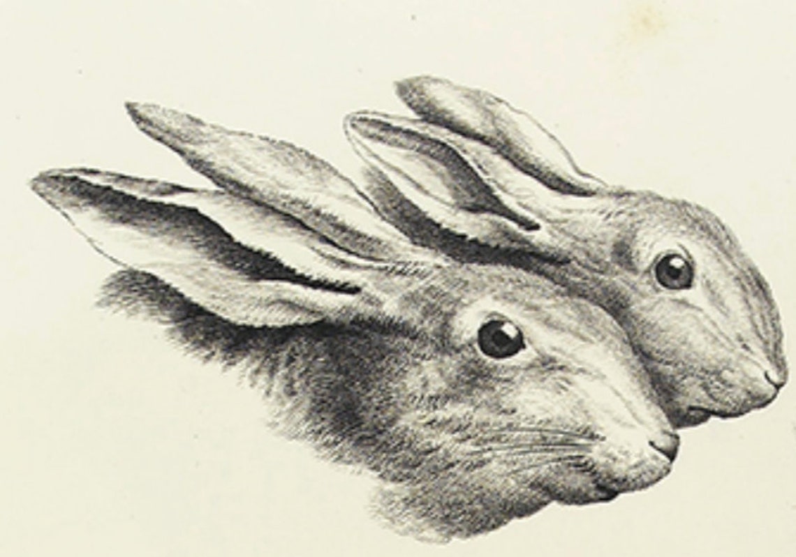 Rabbit and Human by Charles Le Brun: 17th Century Poster - Etsy