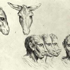 Donkey and Human by Charles Le Brun: 17th Century Poster - Etsy
