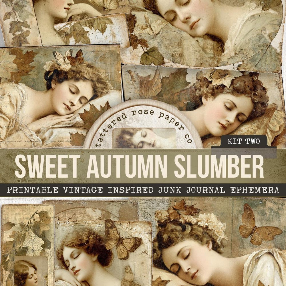 TatteredRosePaperCo - Etsy