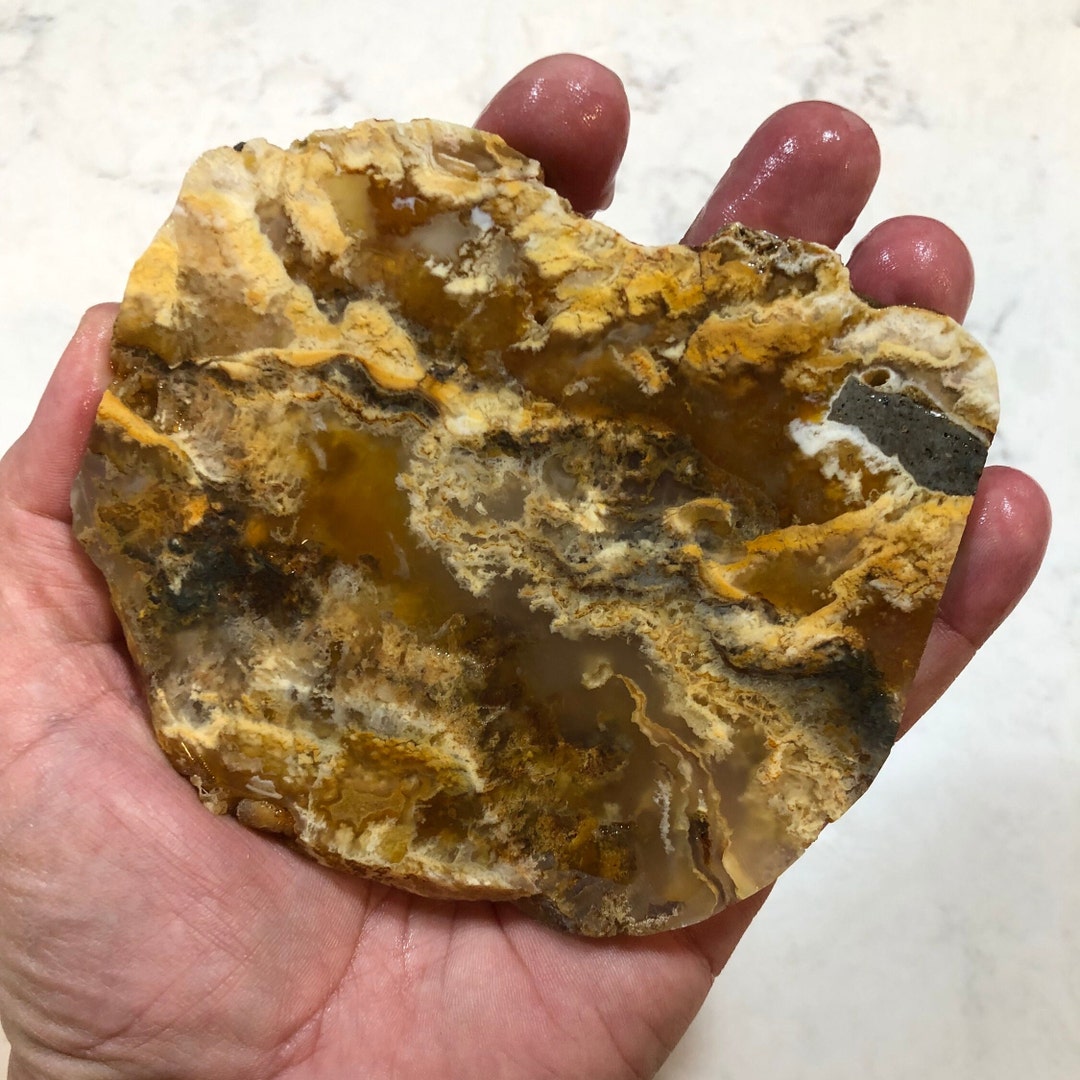 Graveyard Point Plume Agate Slab - Etsy