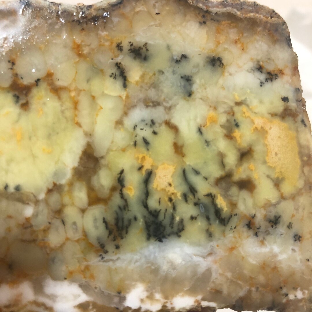 Australian Dendritic Opal Slab - Etsy