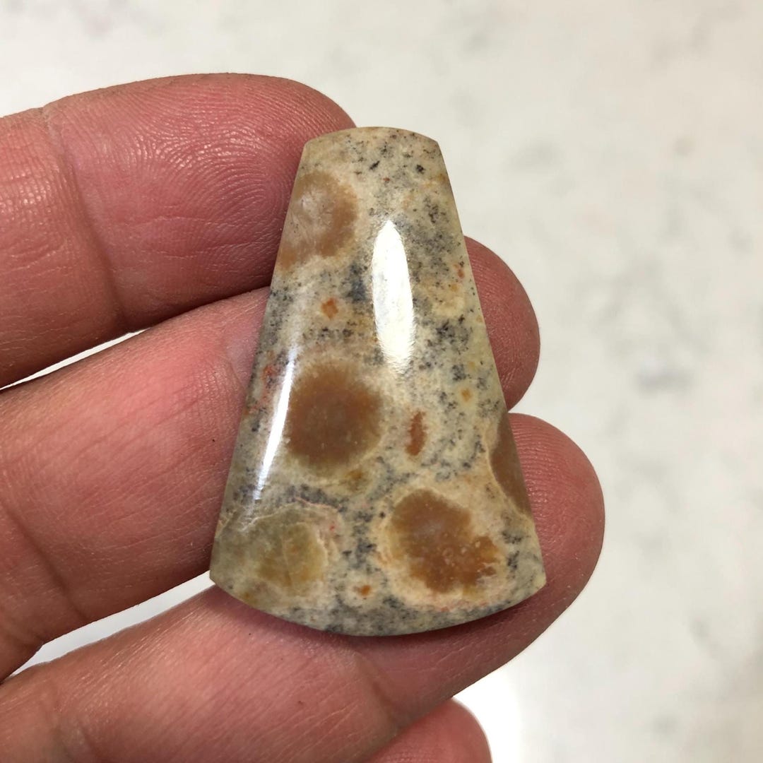 Fossil Dino Dung (coprolite) Cabochon - Etsy