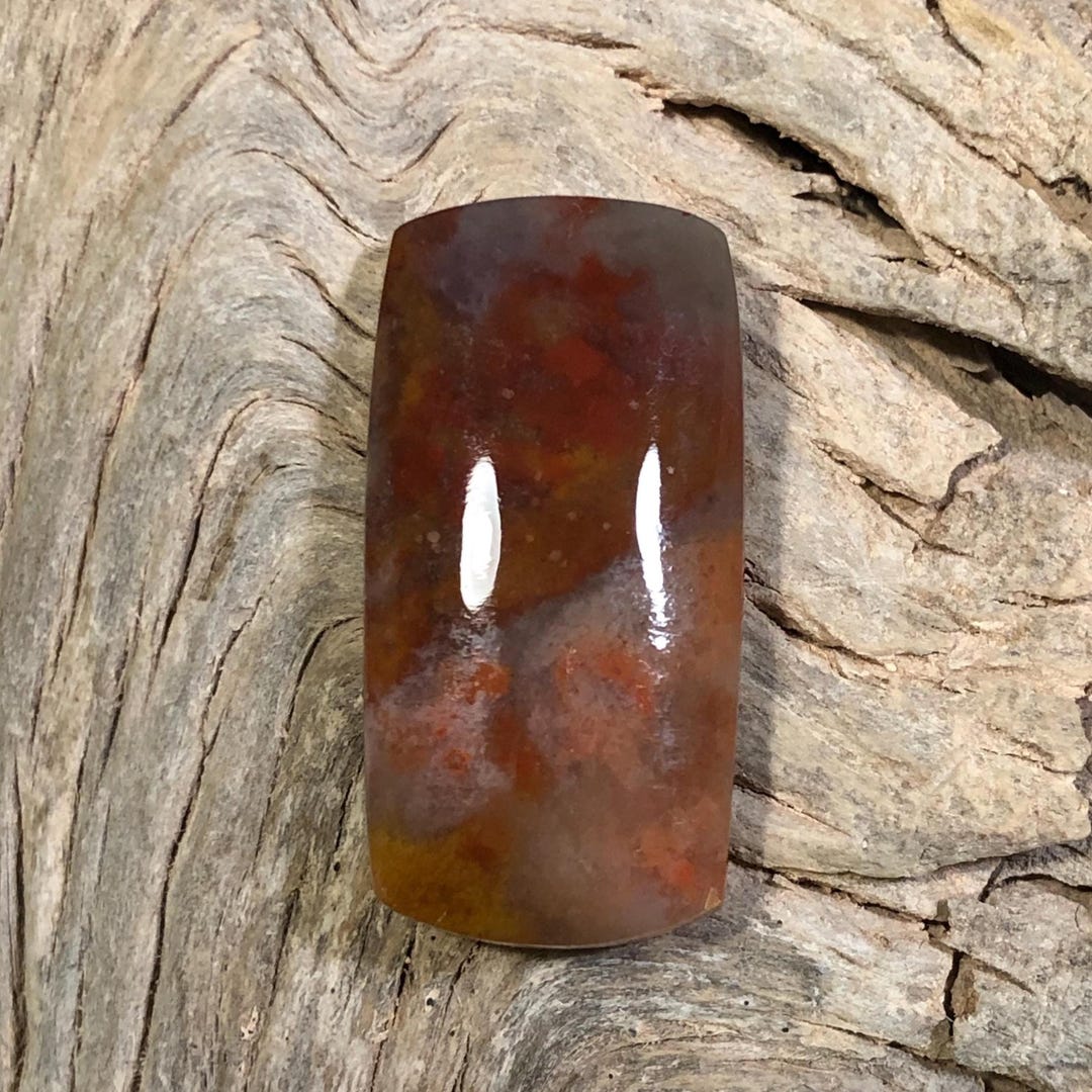 Fossil Dino Dung (coprolite) Cabochon - Etsy