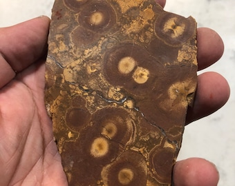 Rhyolite Slab - Etsy