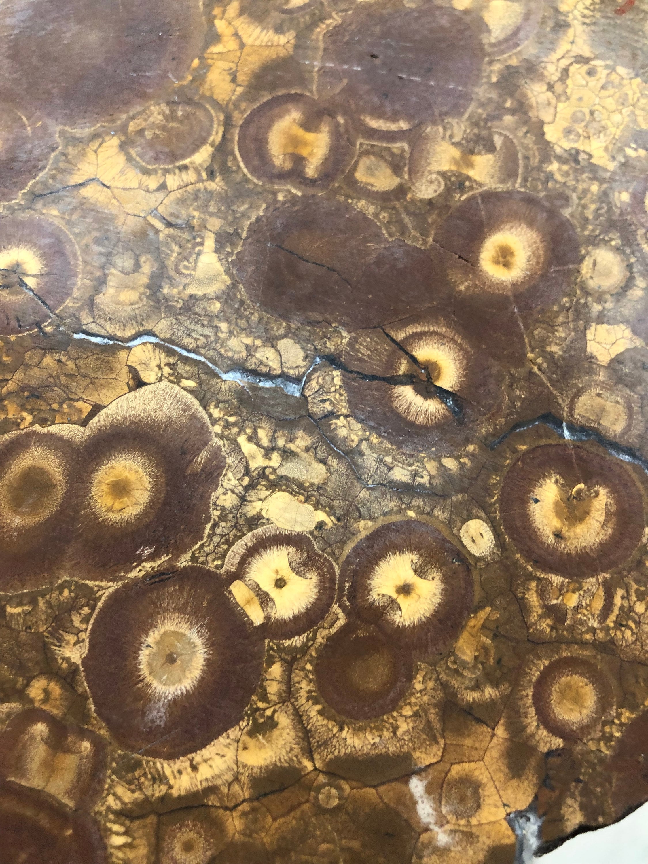 Bird's Eye Rhyolite 3 - Etsy