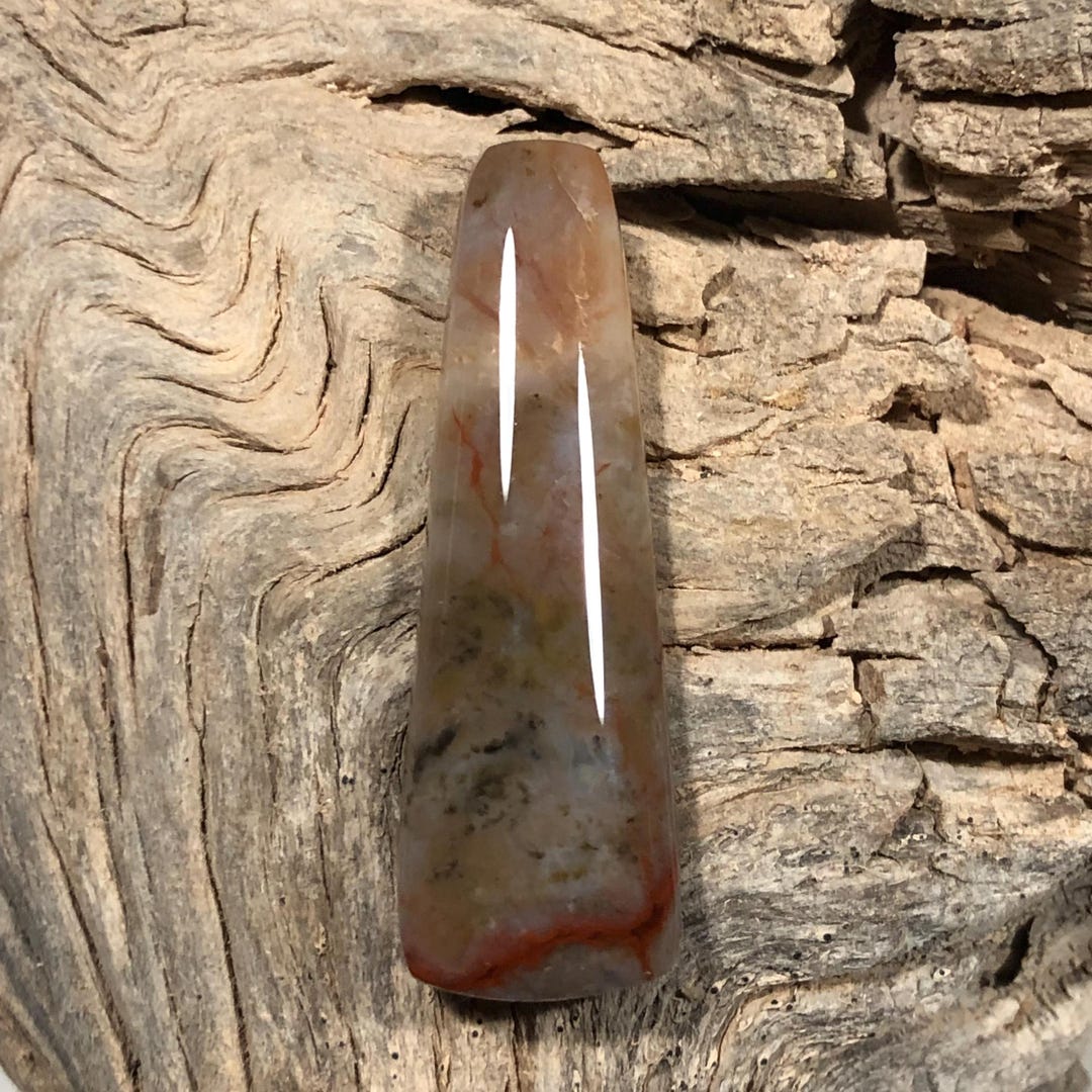 Fossil Dino Dung (coprolite) Cabochon - Etsy