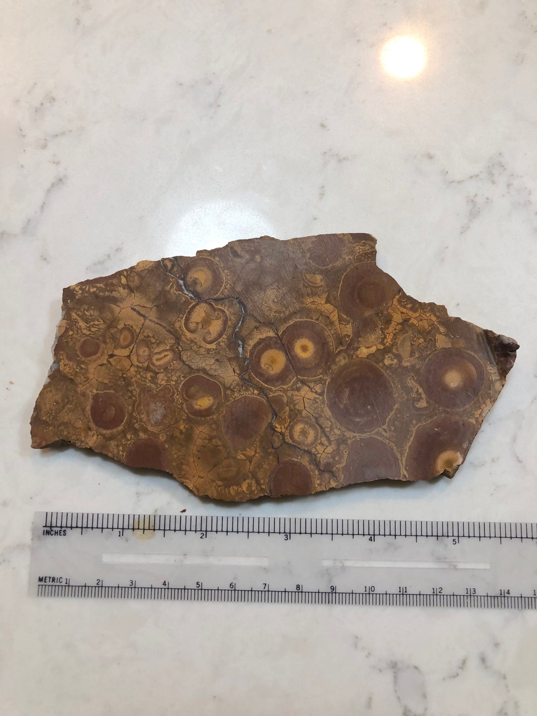 Bird's Eye Rhyolite Slab - Etsy