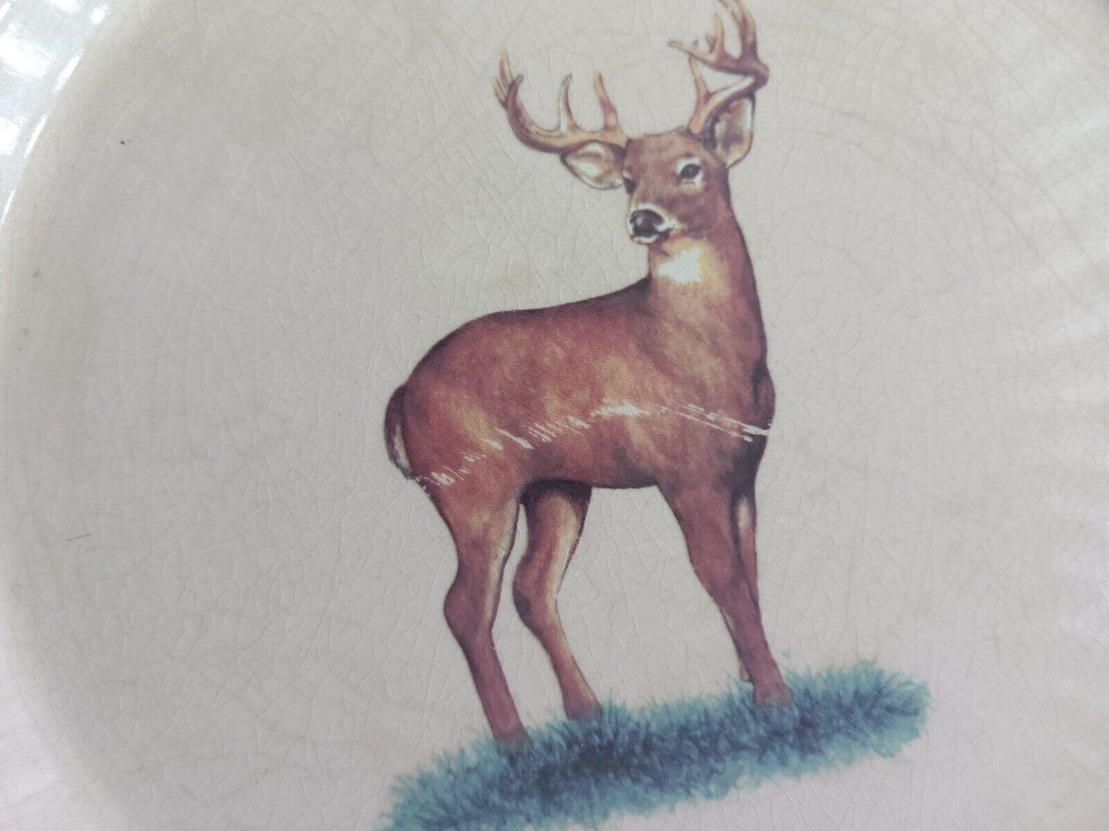 Home & Garden Party Northwoods Deer Buck Dinner Plates Set of 4 ...