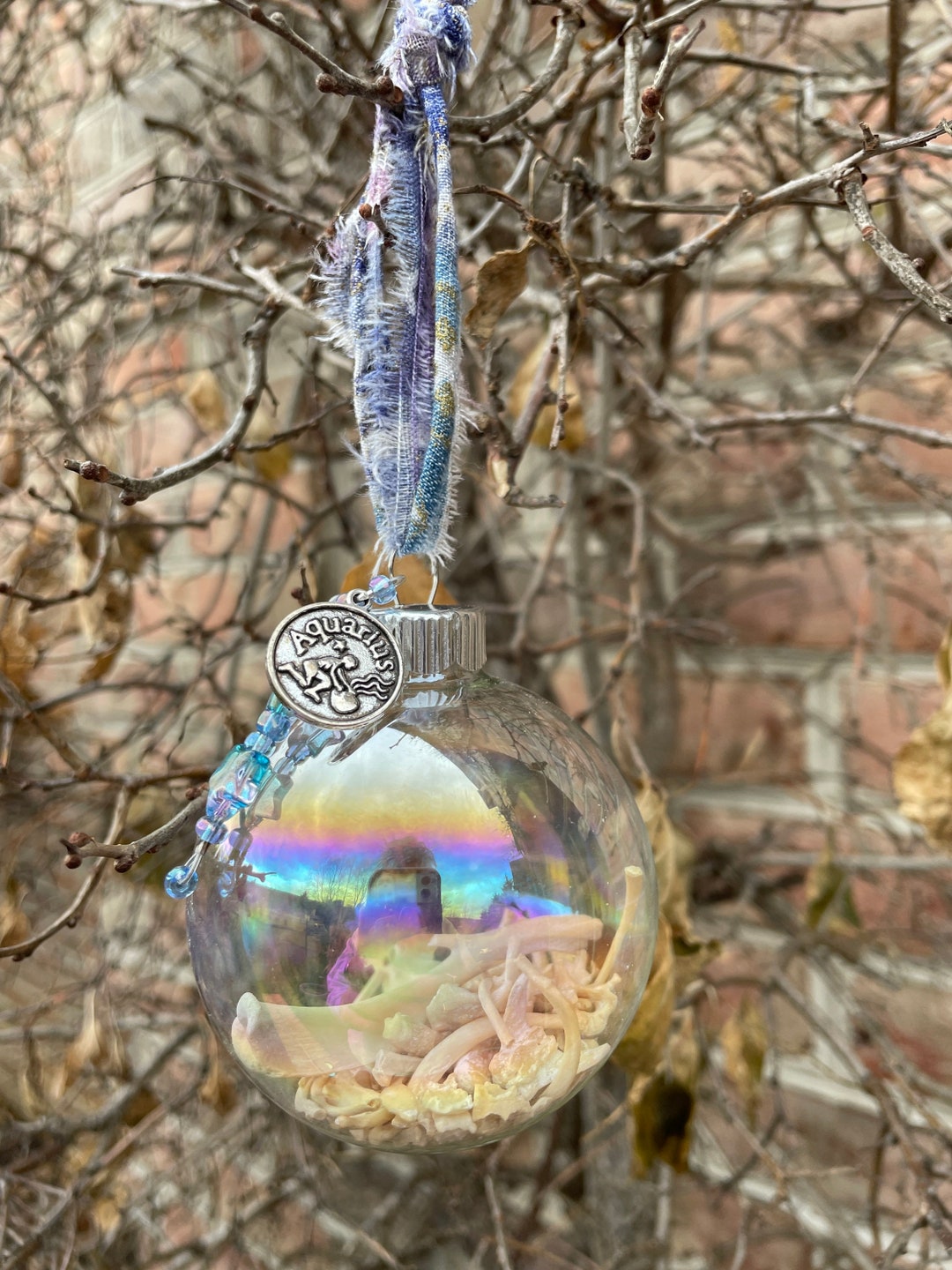 Zodiac Deluxe Glass Iridescent Bone Orb - Etsy