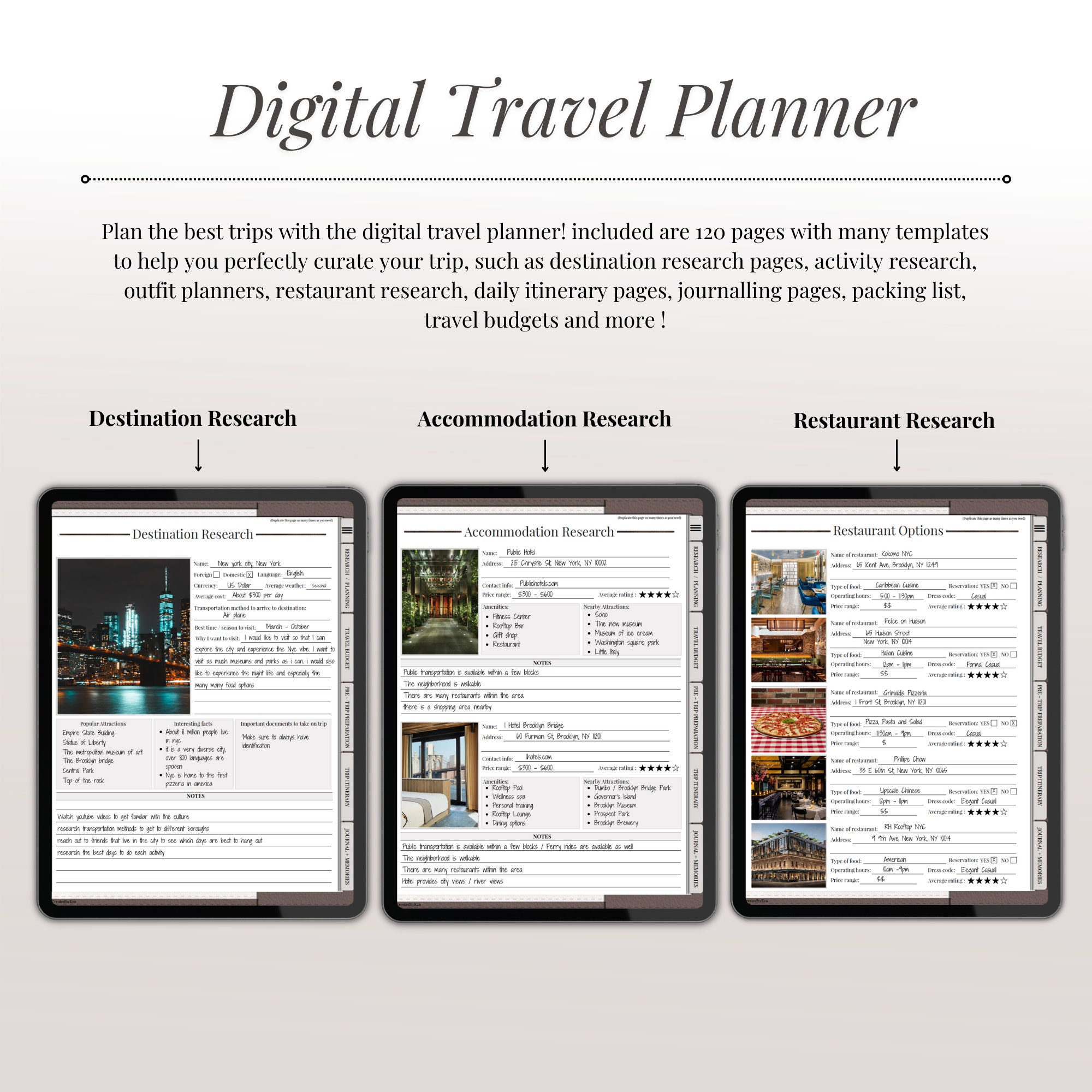 2024 Digital Planner Bundle for Goodnotes, 2024 Daily Planner, Vision ...