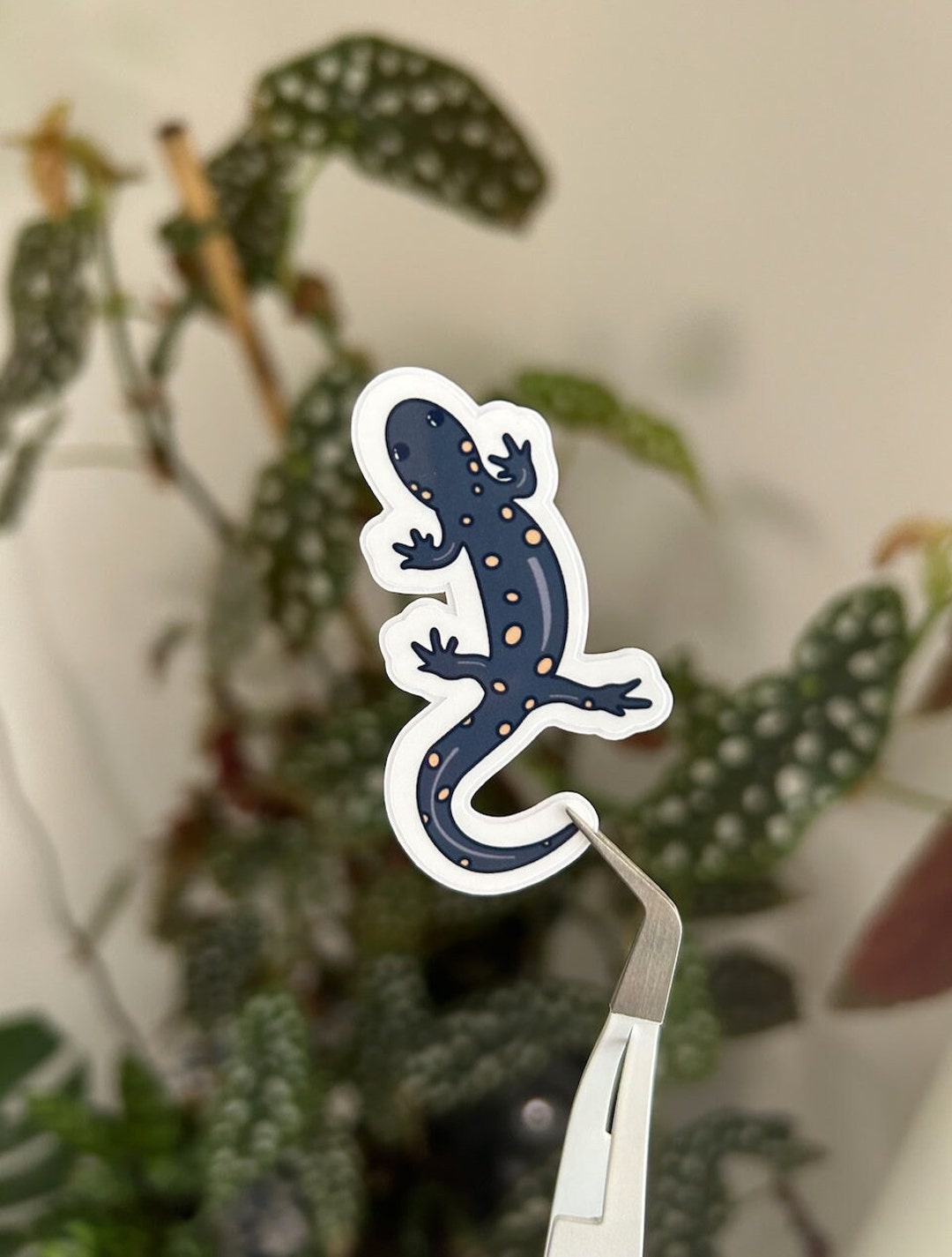 Spotted Salamander Sticker - Etsy