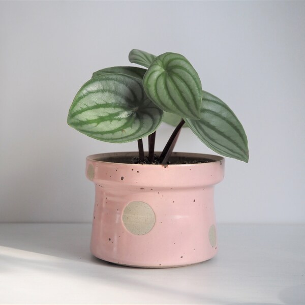 Small Ceramic Pots - Etsy