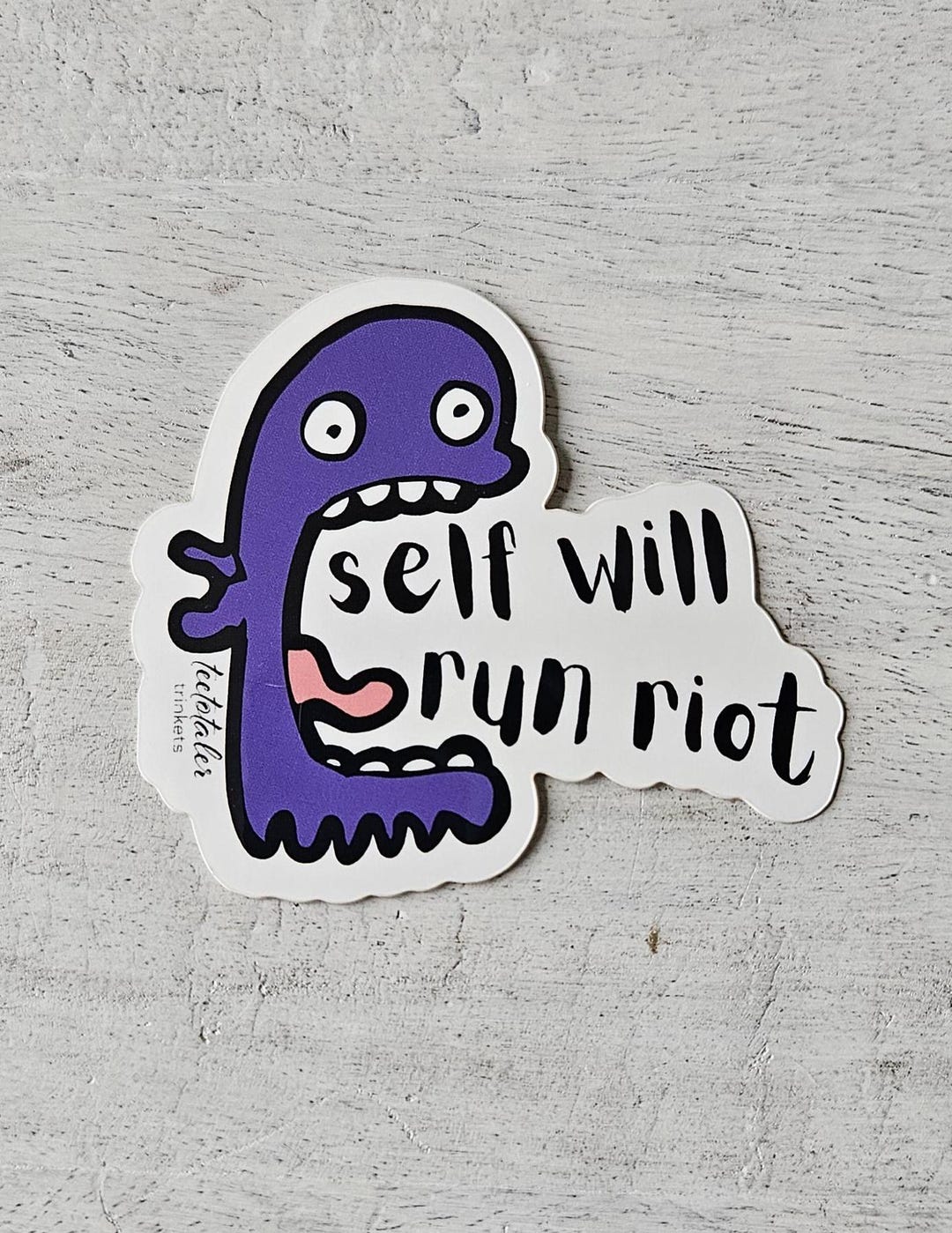 Self Will Run Riot, AA Stickers, Recovery Stickers, AA Gifts, Recovery ...