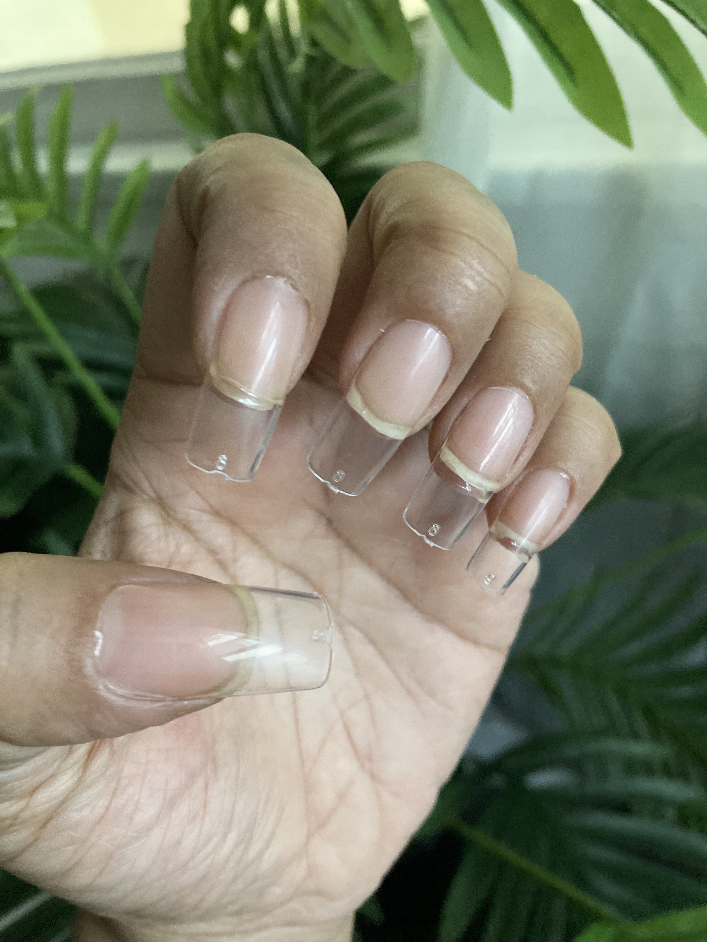 Medium Square Clear Full Cover Nail Tips 500 Pieces - Etsy