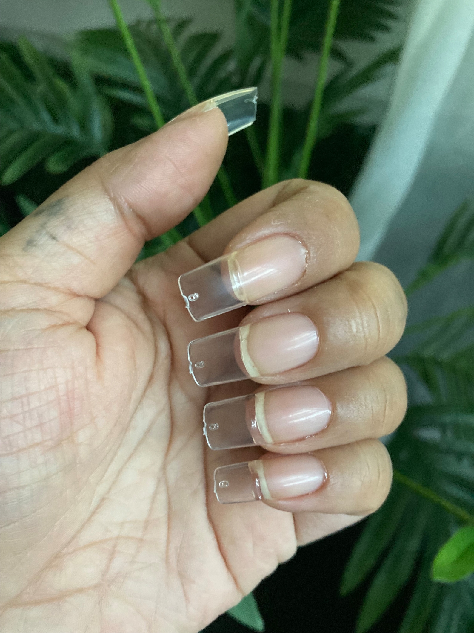 Medium Square Clear Full Cover Nail Tips 500 Pieces - Etsy
