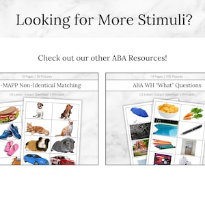 VB-MAPP 300 Common Noun Flashcards Real-life & Cartoon Images for Aba ...