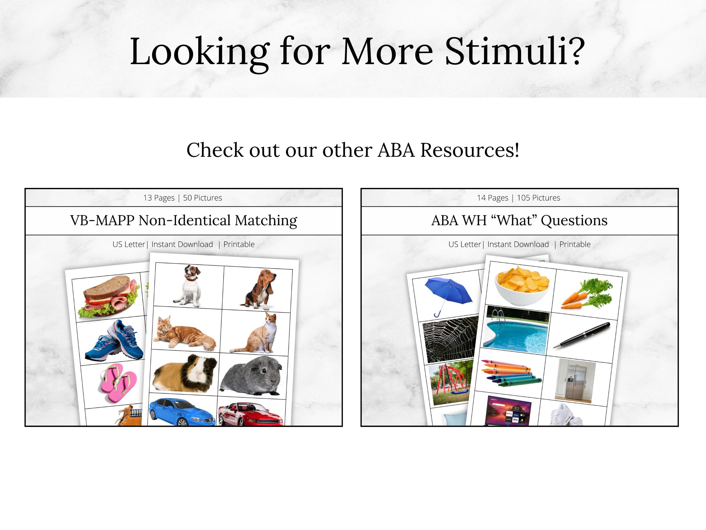 VB-MAPP 300 Common Noun Flashcards Real-life & Cartoon Images for Aba ...