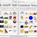 VBMAPP 300 Common Nouns Bundle 300 Common Noun Kit VB MAPP Stimuli Set ...