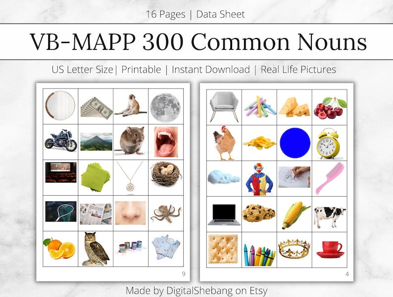VB-MAPP 300 Common Nouns, ABA Materials & Flashcards, Noun Flashcards ...