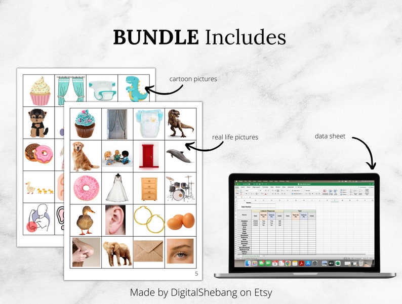 VBMAPP 300 Common Nouns Bundle 300 Common Noun Kit VB MAPP Stimuli Set ...